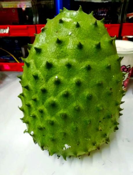 刺果番荔枝的功效与作用_刺果番荔枝怎么吃最好-第1张图片-山城妙识 刺果番荔枝的功效与作用_刺果番荔枝怎么吃最好-第1张图片-山城妙识