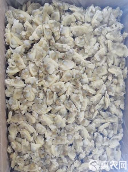 冻花甲肉怎么做好吃_冻花甲肉家常做法-第3张图片-山城妙识