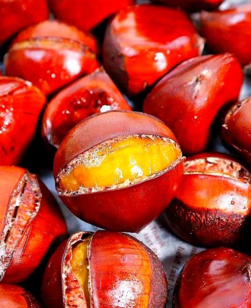 全国板栗排名_哪里板栗最好吃-第2张图片-山城妙识