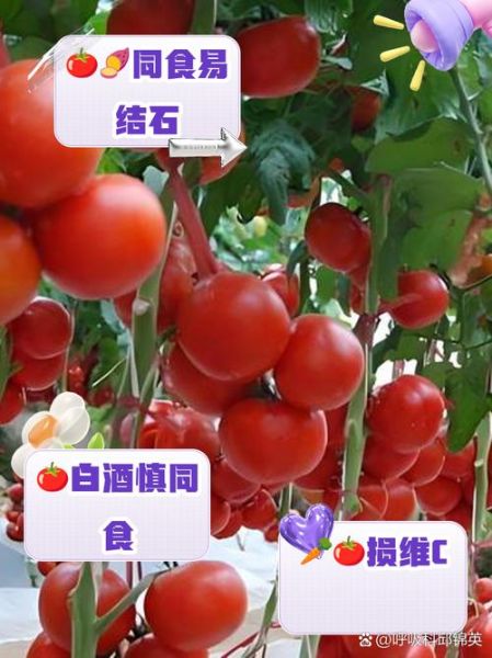 西红柿和什么食物相克_中毒症状有哪些-第2张图片-山城妙识