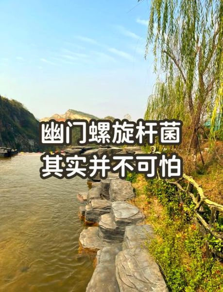 猪肚怎么煮容易烂_猪肚快速软烂技巧-第1张图片-山城妙识