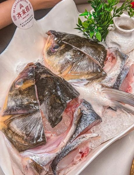 鱼头火锅用什么鱼最好吃_鱼头火锅选鱼技巧-第1张图片-山城妙识