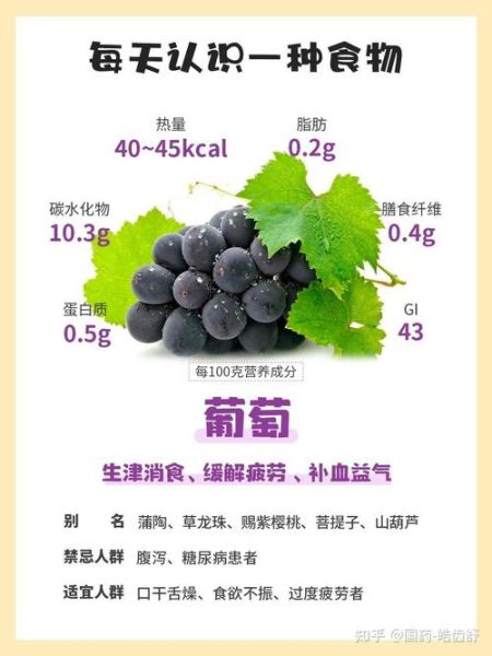葡萄的营养价值有哪些_吃葡萄能补什么-第1张图片-山城妙识 葡萄的营养价值有哪些_吃葡萄能补什么-第1张图片-山城妙识