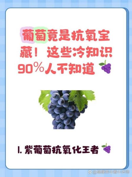 葡萄的营养价值有哪些_吃葡萄能补什么-第3张图片-山城妙识 葡萄的营养价值有哪些_吃葡萄能补什么-第3张图片-山城妙识