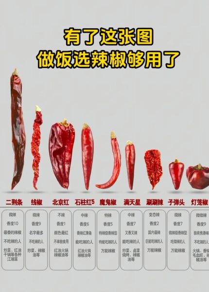 干辣椒图片大全_干辣椒品种有哪些-第1张图片-山城妙识