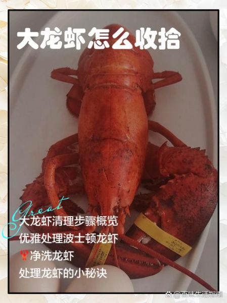 大龙虾怎么吃图解_大龙虾怎么吃才正确-第3张图片-山城妙识