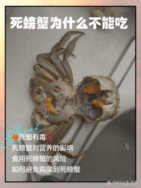 螃蟹死了能不能吃_为什么死蟹不能吃-第1张图片-山城妙识 螃蟹死了能不能吃_为什么死蟹不能吃-第1张图片-山城妙识