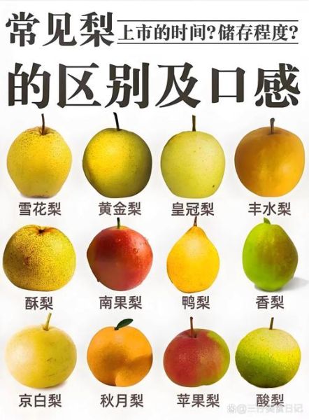 雪梨和雪花梨的区别_如何一眼分辨-第3张图片-山城妙识