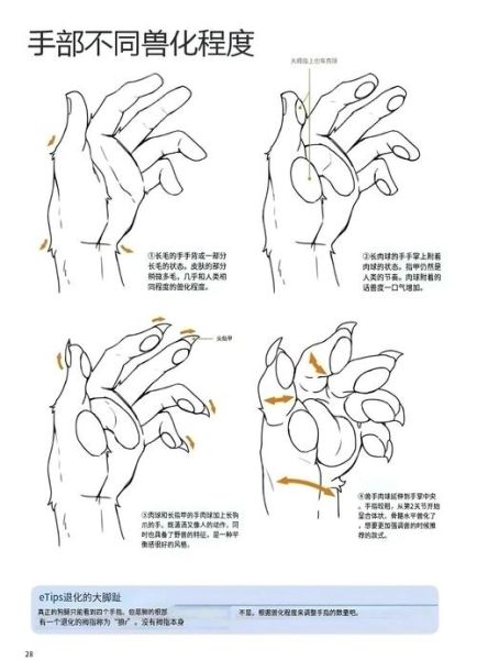 熊掌简笔画怎么画_熊掌简笔画步骤-第3张图片-山城妙识