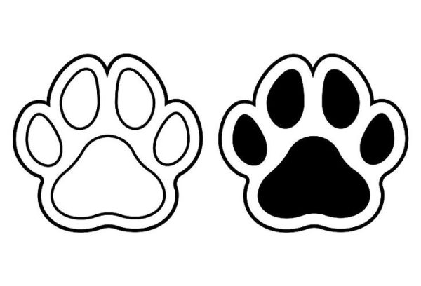 熊掌简笔画怎么画_熊掌简笔画步骤-第2张图片-山城妙识