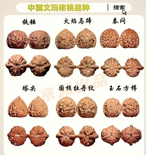 文玩核桃品种排名_哪种最值得入手-第1张图片-山城妙识