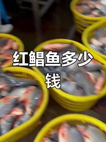 红鲳鱼为什么便宜_红鲳鱼多少钱一斤-第1张图片-山城妙识
