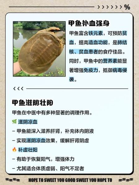 甲鱼的功效与作用_甲鱼的营养价值有哪些-第1张图片-山城妙识