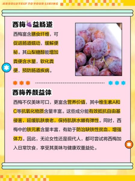 吃西梅的好处与坏处_西梅吃多了会怎样-第2张图片-山城妙识