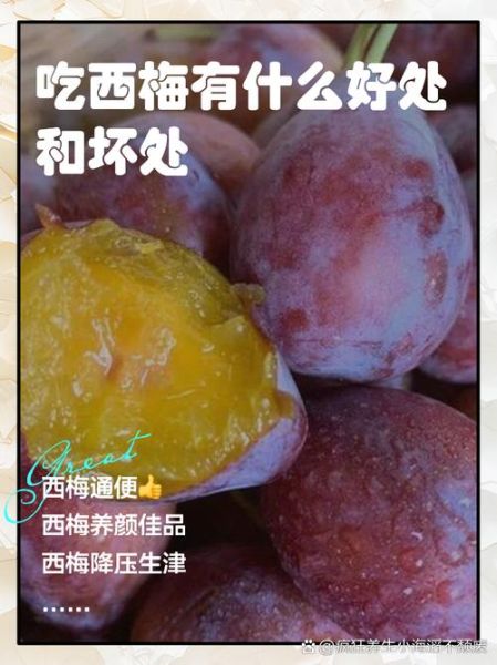 吃西梅的好处与坏处_西梅吃多了会怎样-第3张图片-山城妙识