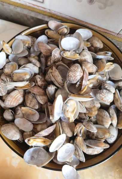 花甲图片大全大图_花甲怎么清洗才干净-第2张图片-山城妙识