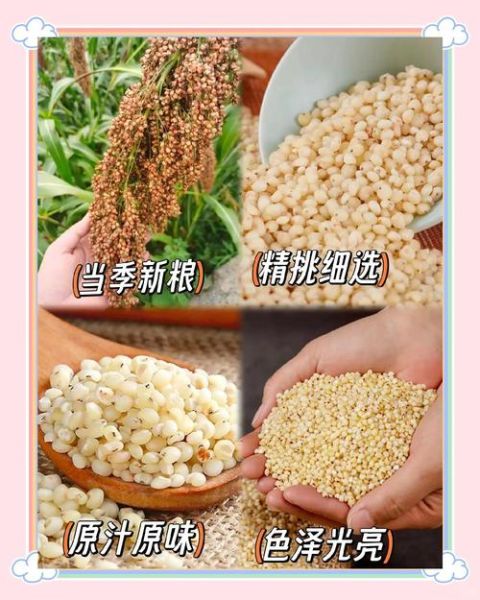 吃高粱米能减肥吗_高粱米减肥的正确吃法-第1张图片-山城妙识