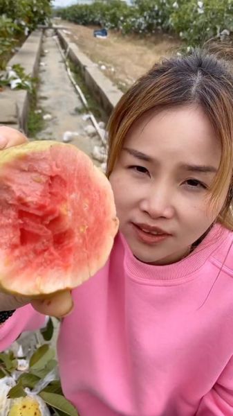 芭乐视频app无限制ios怎么下载_芭乐视频ios破解版安全吗-第2张图片-山城妙识 芭乐视频app无限制ios怎么下载_芭乐视频ios破解版安全吗-第2张图片-山城妙识