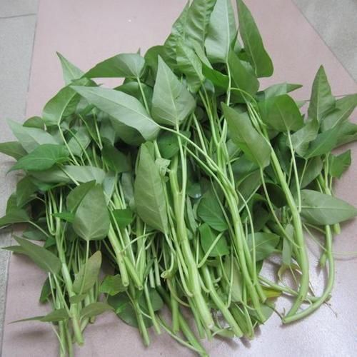 通菜吃多了会抽筋吗_通菜抽筋原因-第3张图片-山城妙识 通菜吃多了会抽筋吗_通菜抽筋原因-第3张图片-山城妙识