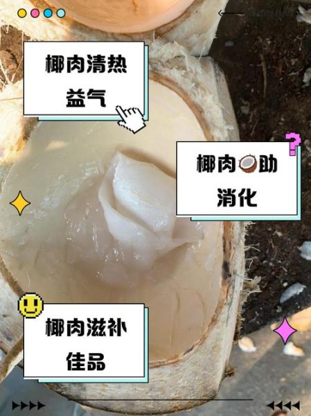 吃椰肉为什么老得快_椰肉吃多了会加速衰老吗-第2张图片-山城妙识