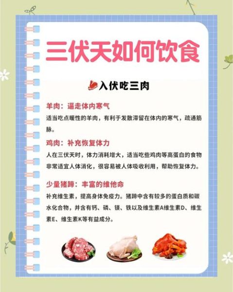 三伏天如何调理身体_三伏天吃什么最养生-第2张图片-山城妙识 三伏天如何调理身体_三伏天吃什么最养生-第2张图片-山城妙识