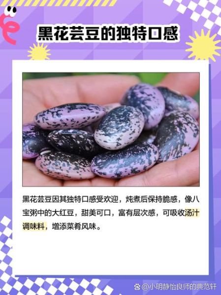 黑芸豆怎么吃_黑芸豆的正确做法-第1张图片-山城妙识
