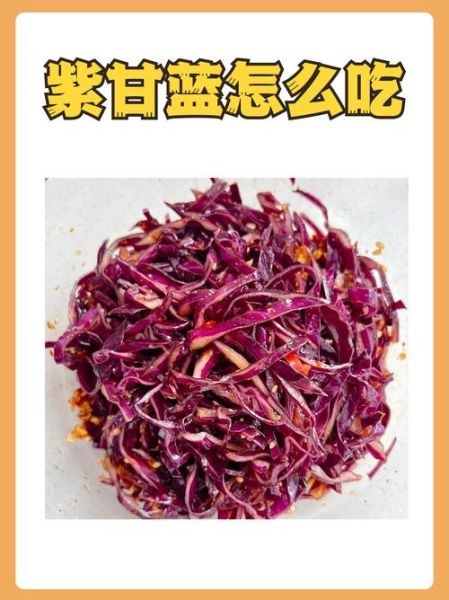 紫甘蓝怎么吃减肥_紫甘蓝减肥食谱推荐-第1张图片-山城妙识 紫甘蓝怎么吃减肥_紫甘蓝减肥食谱推荐-第1张图片-山城妙识