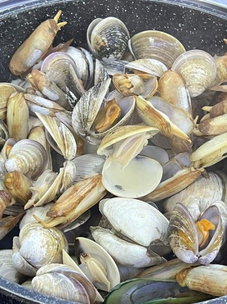 花甲怎么清洗才干净_家常花甲做法步骤-第2张图片-山城妙识