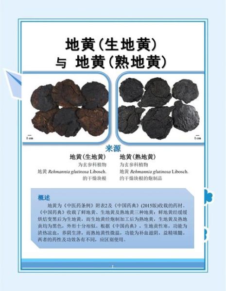 地黄的功效与作用_鲜地黄与干地黄区别-第2张图片-山城妙识 地黄的功效与作用_鲜地黄与干地黄区别-第2张图片-山城妙识