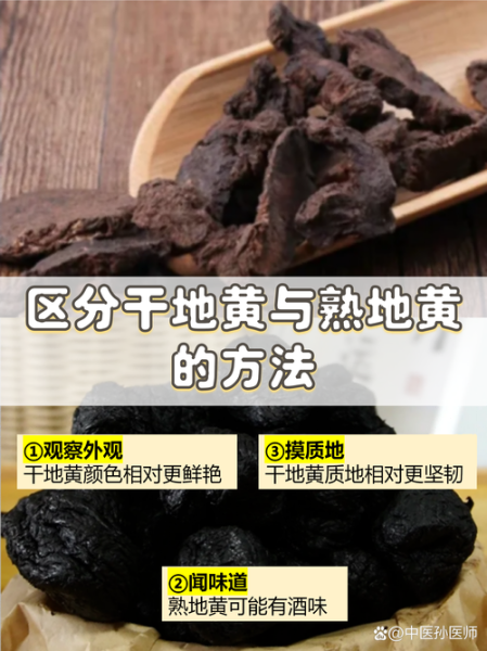 地黄的功效与作用_鲜地黄与干地黄区别-第1张图片-山城妙识 地黄的功效与作用_鲜地黄与干地黄区别-第1张图片-山城妙识