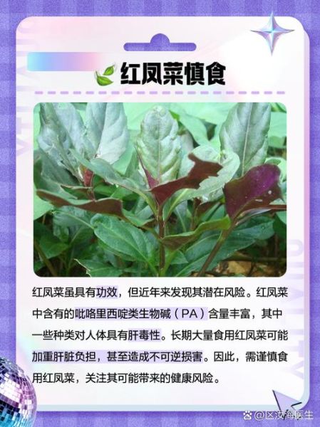 红凤菜的功效与禁忌_哪些人不能吃-第1张图片-山城妙识