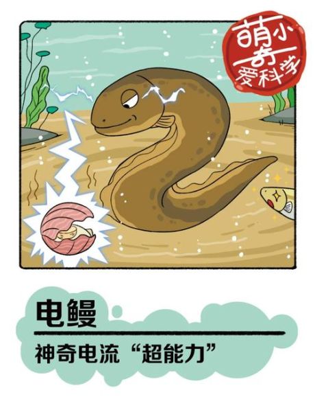 电鳗有天敌吗_电鳗会被什么动物吃掉-第2张图片-山城妙识