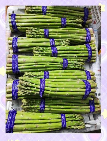 芦笋的种类有哪些_绿芦笋和白芦笋区别-第1张图片-山城妙识
