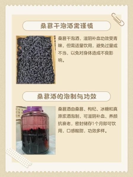 干桑葚泡水喝的害处_干桑葚泡水禁忌-第3张图片-山城妙识 干桑葚泡水喝的害处_干桑葚泡水禁忌-第3张图片-山城妙识