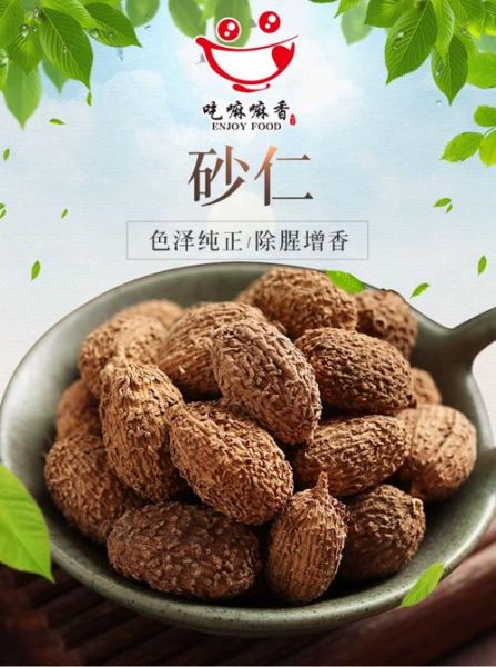 香砂仁图片_香砂仁长什么样-第1张图片-山城妙识