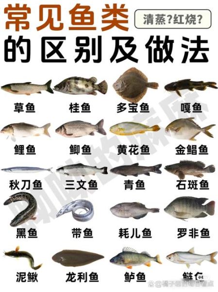 常见淡水鱼有哪些_如何区分常见海鱼-第1张图片-山城妙识