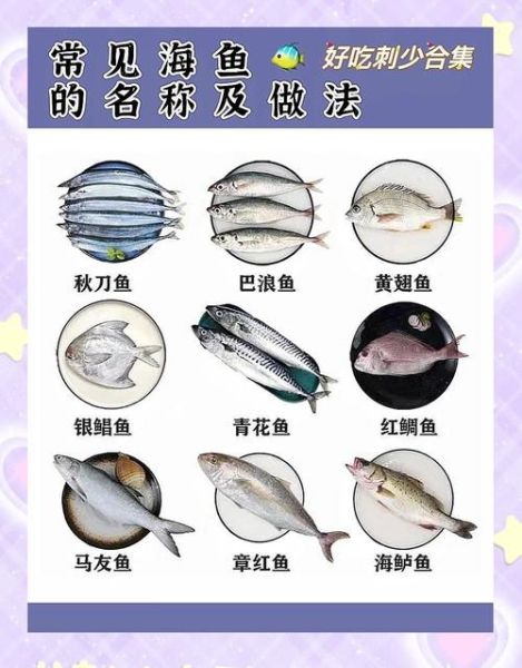 常见淡水鱼有哪些_如何区分常见海鱼-第3张图片-山城妙识