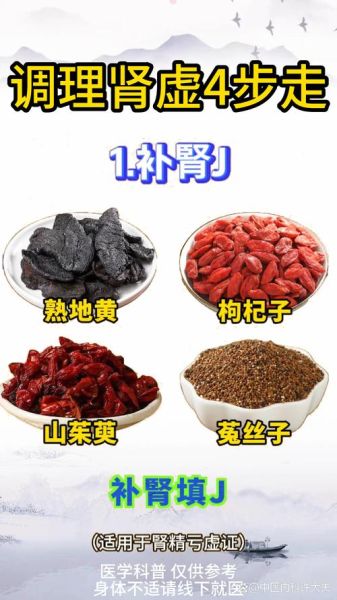 补肾壮阳吃什么药膳_肾虚早泄怎么调理-第3张图片-山城妙识