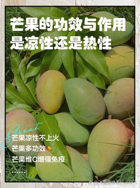 芒果的营养价值及功效与禁忌_芒果不能和什么一起吃-第2张图片-山城妙识 芒果的营养价值及功效与禁忌_芒果不能和什么一起吃-第2张图片-山城妙识