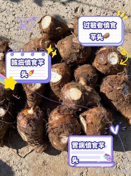 减肥为什么不能吃芋头_芋头热量高吗-第1张图片-山城妙识 减肥为什么不能吃芋头_芋头热量高吗-第1张图片-山城妙识