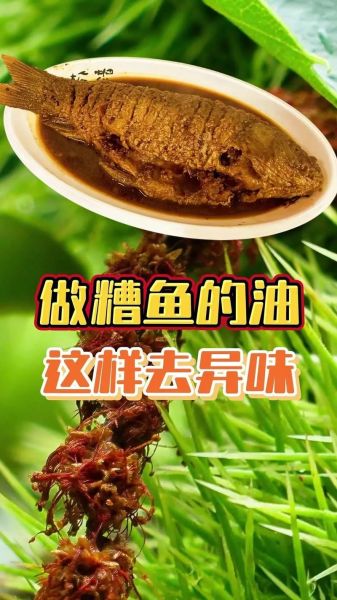 河南糟鱼的做法_糟鱼怎么做好吃又入味-第2张图片-山城妙识
