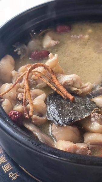 水鱼煲鸡的做法_水鱼煲鸡的功效与禁忌-第1张图片-山城妙识