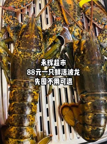波士顿龙虾多少钱一斤2021_2021波士顿龙虾价格走势-第3张图片-山城妙识