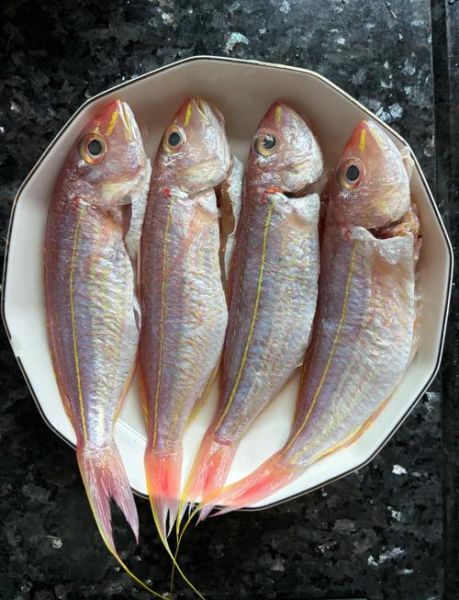 红杉鱼怎么做好吃_红杉鱼的营养价值有哪些-第1张图片-山城妙识