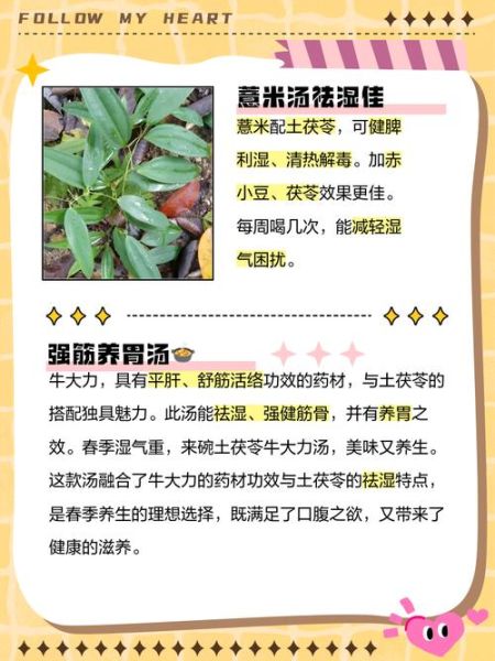 土伏苓袪湿汤怎么做_土伏苓袪湿汤适合哪些人喝-第2张图片-山城妙识