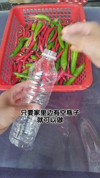 泡椒怎么做_泡椒的腌制方法-第2张图片-山城妙识 泡椒怎么做_泡椒的腌制方法-第2张图片-山城妙识