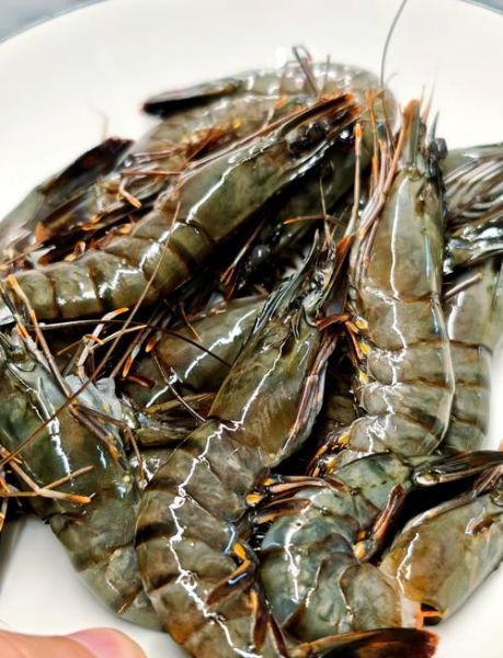 虎虾怎么做好吃_虎虾营养价值有哪些-第1张图片-山城妙识