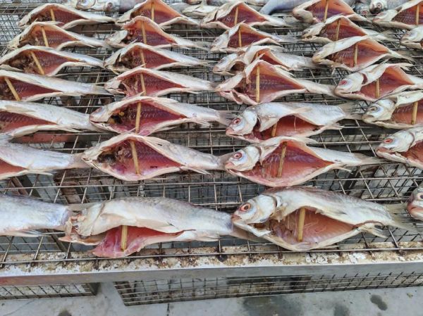 糍粑鱼块要风干多久_最佳风干时间-第2张图片-山城妙识 糍粑鱼块要风干多久_最佳风干时间-第2张图片-山城妙识