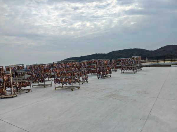 糍粑鱼块要风干多久_最佳风干时间-第3张图片-山城妙识 糍粑鱼块要风干多久_最佳风干时间-第3张图片-山城妙识