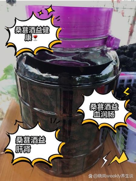 52度白酒泡桑葚能保存多久_桑葚酒保存时间多久-第2张图片-山城妙识